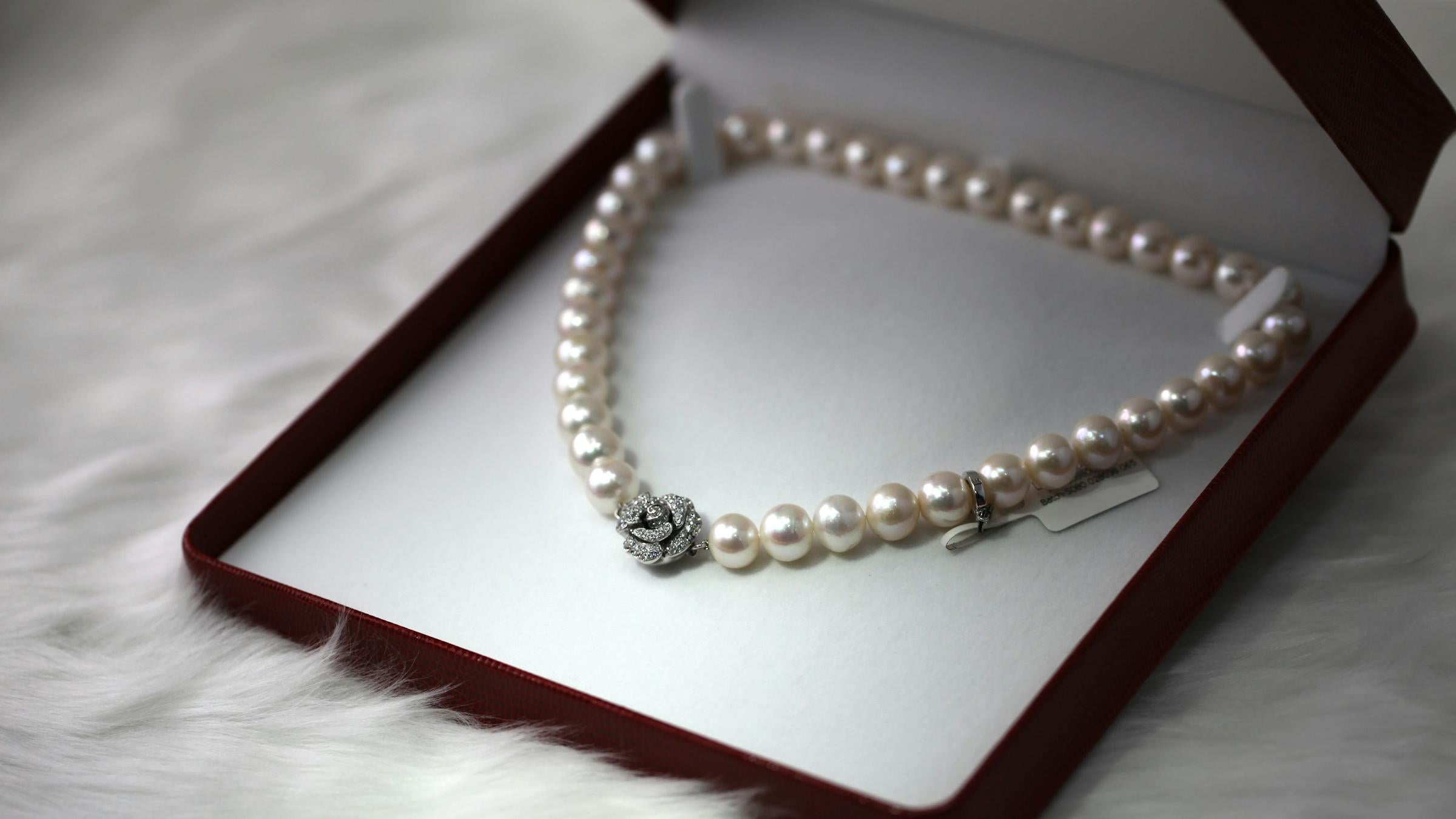 When Are Pearl Accessories Most Stylish? Discover Timeless Elegance wi – Planderful Shop